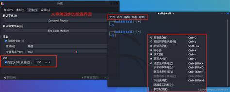 Kali字体设置 各种字体图标大小调整总结linux走水肖 Gitcode 开源社区