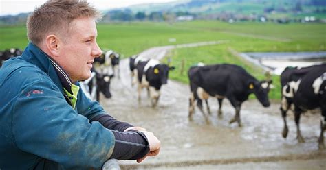 Caitlyn Poole Posted On Linkedin