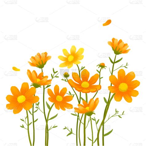 手绘风 植物贴纸 花朵