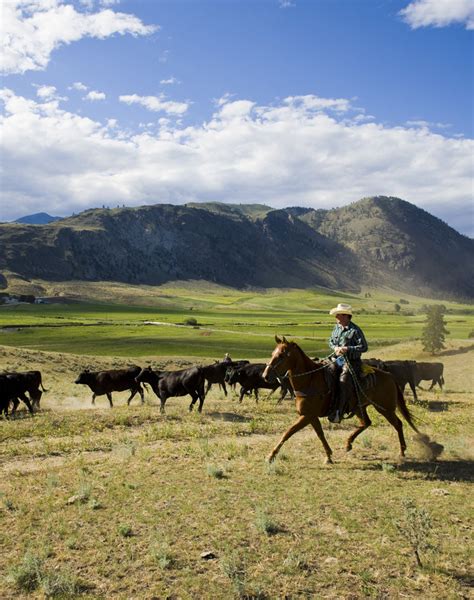Snake River Farms The Pioneers Of American Wagyu Beef