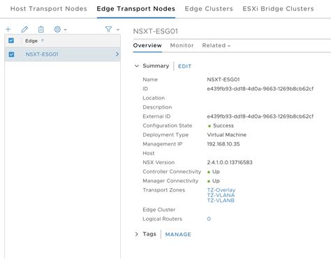 Nsx T Lab Edge Node Vdives