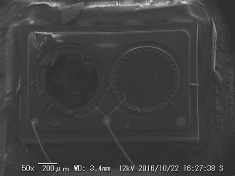 41j Blog Blog Archive The Iphone Mems Mic In A Sem