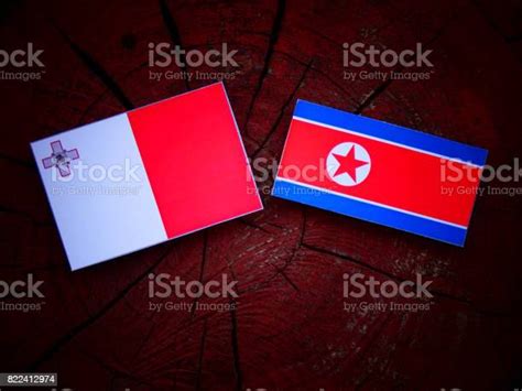 고립 된 나무 등 걸에 북한 국기와 몰타어 깃발 0명에 대한 스톡 사진 및 기타 이미지 0명 개념 경쟁 Istock