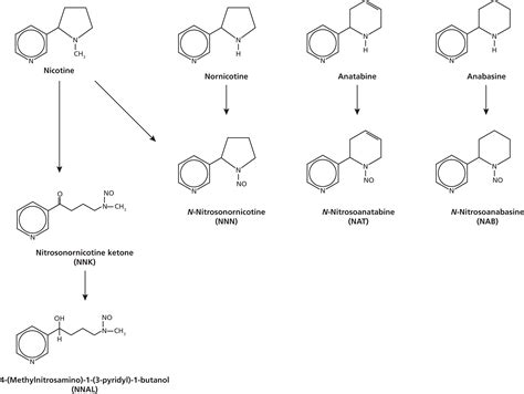 Tobacco Specific Nitrosamines
