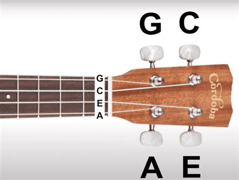 What Is The Tuning For A Ukulele Ins