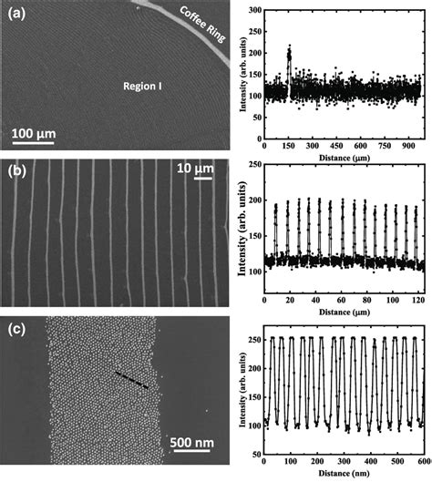 Dual Scale Surface Nanostructure Morphology For A Deposited Dna Np