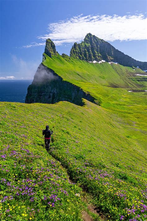 Cedar Path Expeditions Adventures That Nourish The Soul