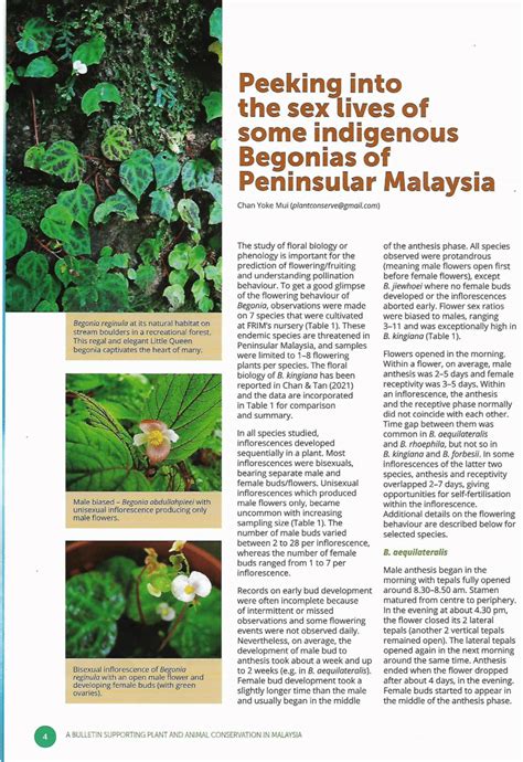 Pdf Peeking Into The Sex Lives Of Some Indigenous Begonias Of