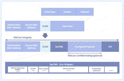 What Is Macsec And How Does It Work Asterfusion Data Technologies