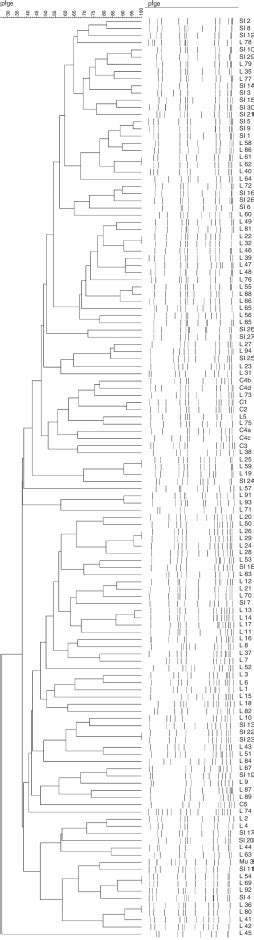 Dendrogram Illustrating The Pfge Patterns Of 124 Strains And Controls