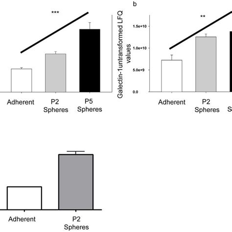 Muc1 Expression On Mcf 7 Grown In Matched Adherent And Sphere Promoting
