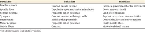 Coding Scheme As Aligned With The Sbf Analytic Framework Download Scientific Diagram