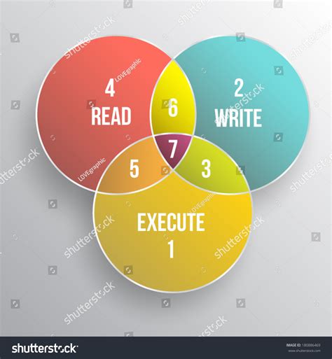 Permission Diagram Allow Read Write Execute 库存矢量图免版税180886469