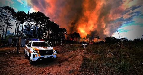 Ya Van 40 Incendios Forestales En Uruguay En 2023 Y Prevén Un Año