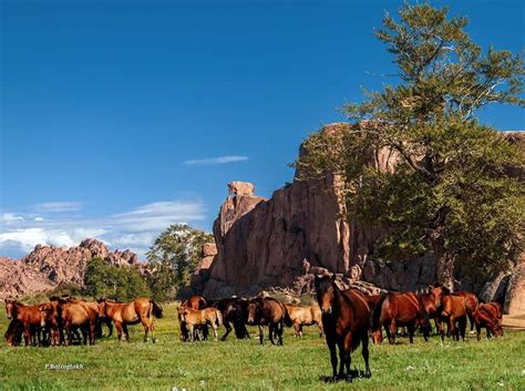 БӨХМӨРӨН СУМЫН ЗАРЫН НЭГДСЭН ГРУПП Facebook