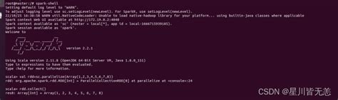 docker环境部署hadoop并使用docker构建spark运行案列（全网最详细教程） docker spark csdn博客