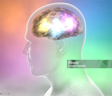 퇴행 성 질환 파 킨 슨 병 뇌 Synapses 신경 알츠하이머병 노인에 대한 스톡 사진 및 기타 이미지 노인 뇌종양