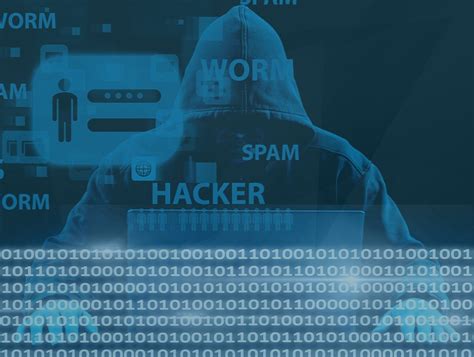 How Professional Human Hackers Choose Their Targets Cyber Defense