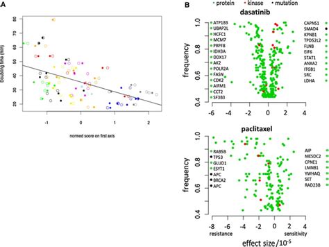 Global Proteome Analysis Of The Nci 60 Cell Line Panel Cell Reports