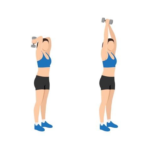 Woman Doing Dumbbell Triceps Extension Exercise Vector Image