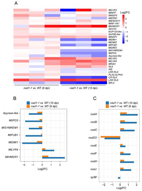 Dual RNA Seq Analysis Pinpoints A Balanced Regulation Between Symbiosis And Immunity In Medicago