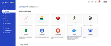 megaease cloud 用户手册 docker 应用 和 apm