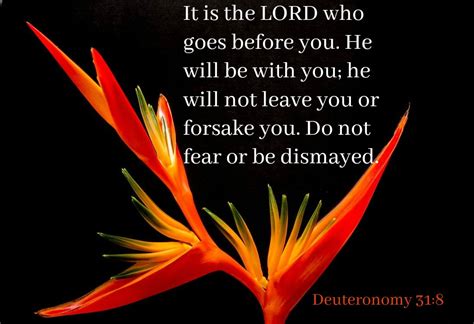 All About God Praise Be To The Father Son And The Holy Spirit