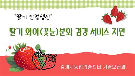 딸기 안정생산을 위한 화아분화 검경 서비스 지원 Youtube