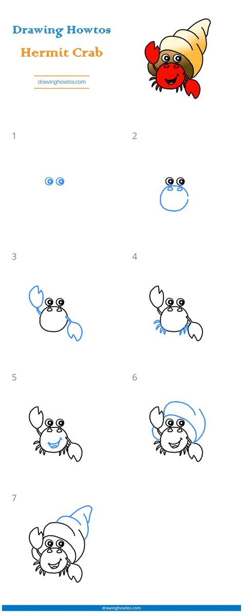 How To Draw A Hermit Crab Step By Step Easy Drawing Guides Drawing