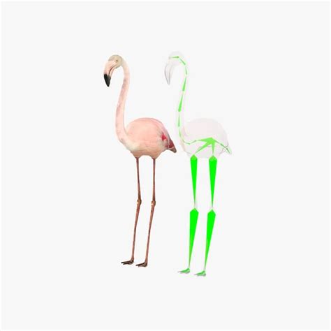 Flamingo 3d 모델 다운로드