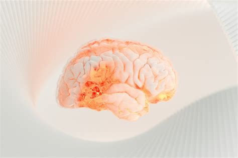 Brain Computer Interfaces The Final Frontier Of Computing Revolutionized Brain Computer Interfaces The Final Frontier Of Computing Revolutionized