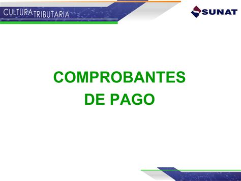 SOLUTION Reglamento De Comprobantes De Pago Sunat Studypool