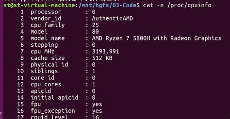 Linux目录和文件指令操作 Csdn博客