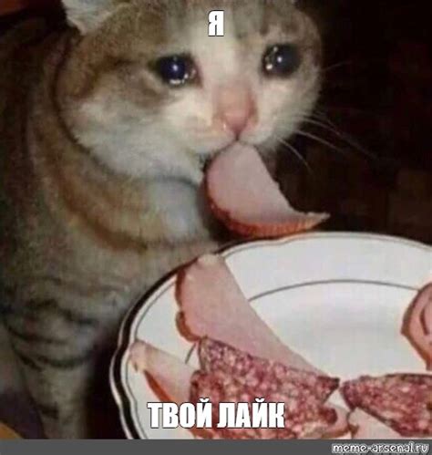 Мем Я ТВОЙ ЛАЙК Все шаблоны Meme