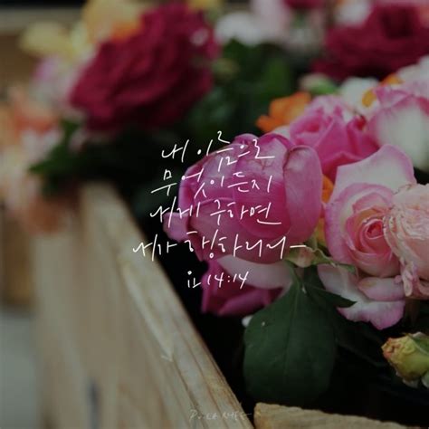 마이트웰브 내 이름으로 무엇이든지 내게 구하면 내가 행하리라 요한복음 14장 14절 국민일보