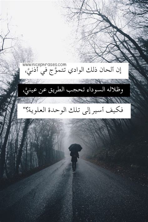 شعر جاهلي عن الوحدة عبارات جميلة