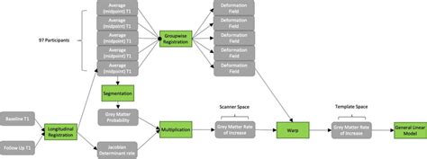 processing steps for longitudinal voxel based morphometry operations