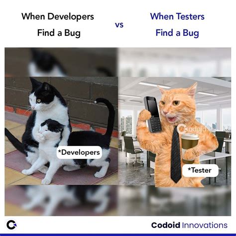 osei l bernard on linkedin developers tech zenius zeni bugs