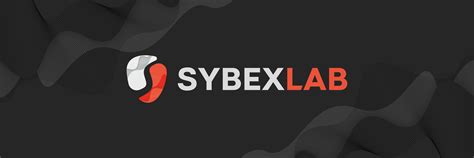 Sybex Lab Pvt Ltd Linkedin