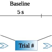 Experiment Protocol Download Scientific Diagram