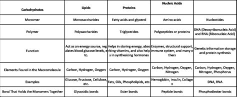 Complete The Chart Macromolecule Monomer Energy Source Carbohydrate