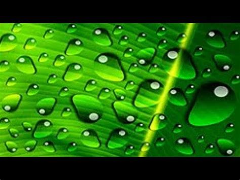 CorelDraw Tutorial How To Create REALISTIC WATER DROP EFFECT YouTube