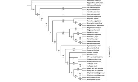 Maximum Parsimony Tree Based On The Combined Analysis Of Six Genes Download Scientific Diagram