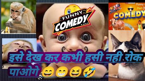 इसे देख कर कभी भी हसी नहीं रोक नही पाओगे 😄 कॉमेडी वीडियो Funny Comedy
