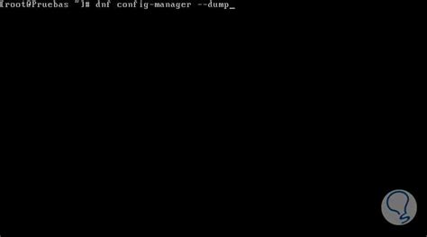 Dnf Gestor De Paquetes En Fedora Solvetic