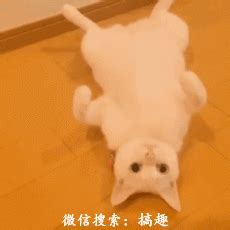 這樣的好孩子真是越來越少了真懂禮貌 每日頭條