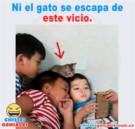 Chistes De Pepito Pedir Mano Chistes Geniales