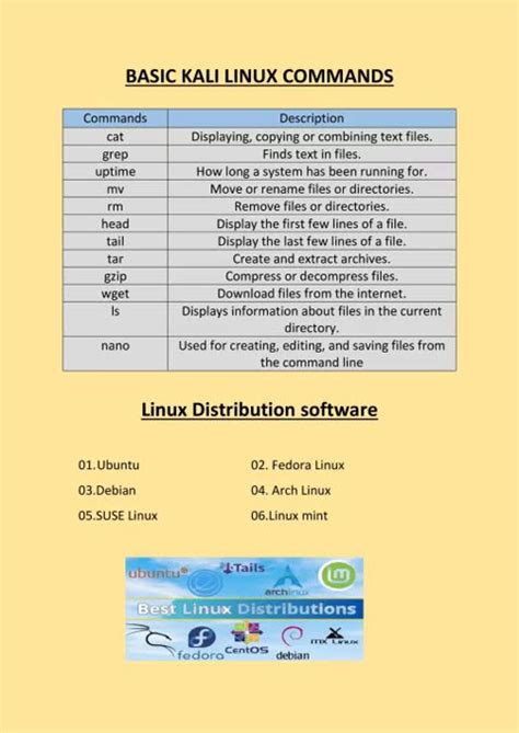 Kali Linux Basic Commandslinux Kali Kalilinux Commands