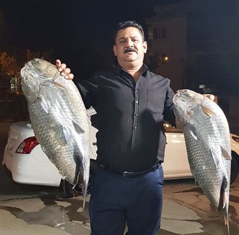 ماسی برژاوی راپەرین