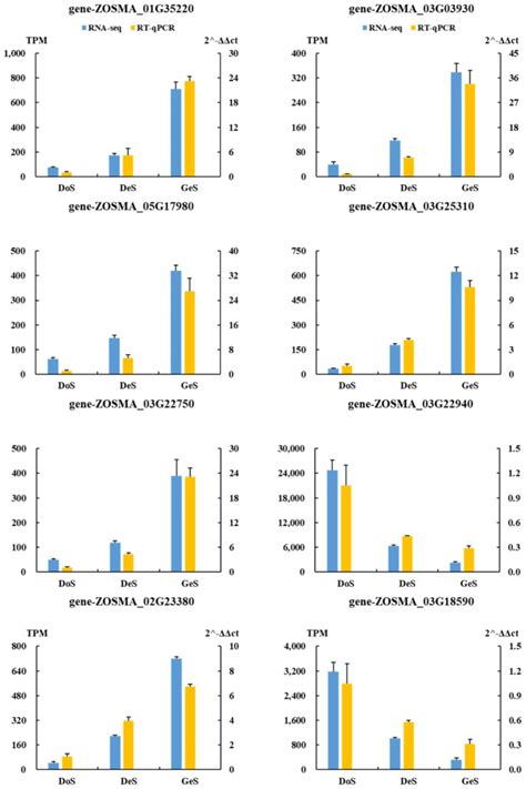 Combined Transcriptome And Proteome Analysis Reveal The Key